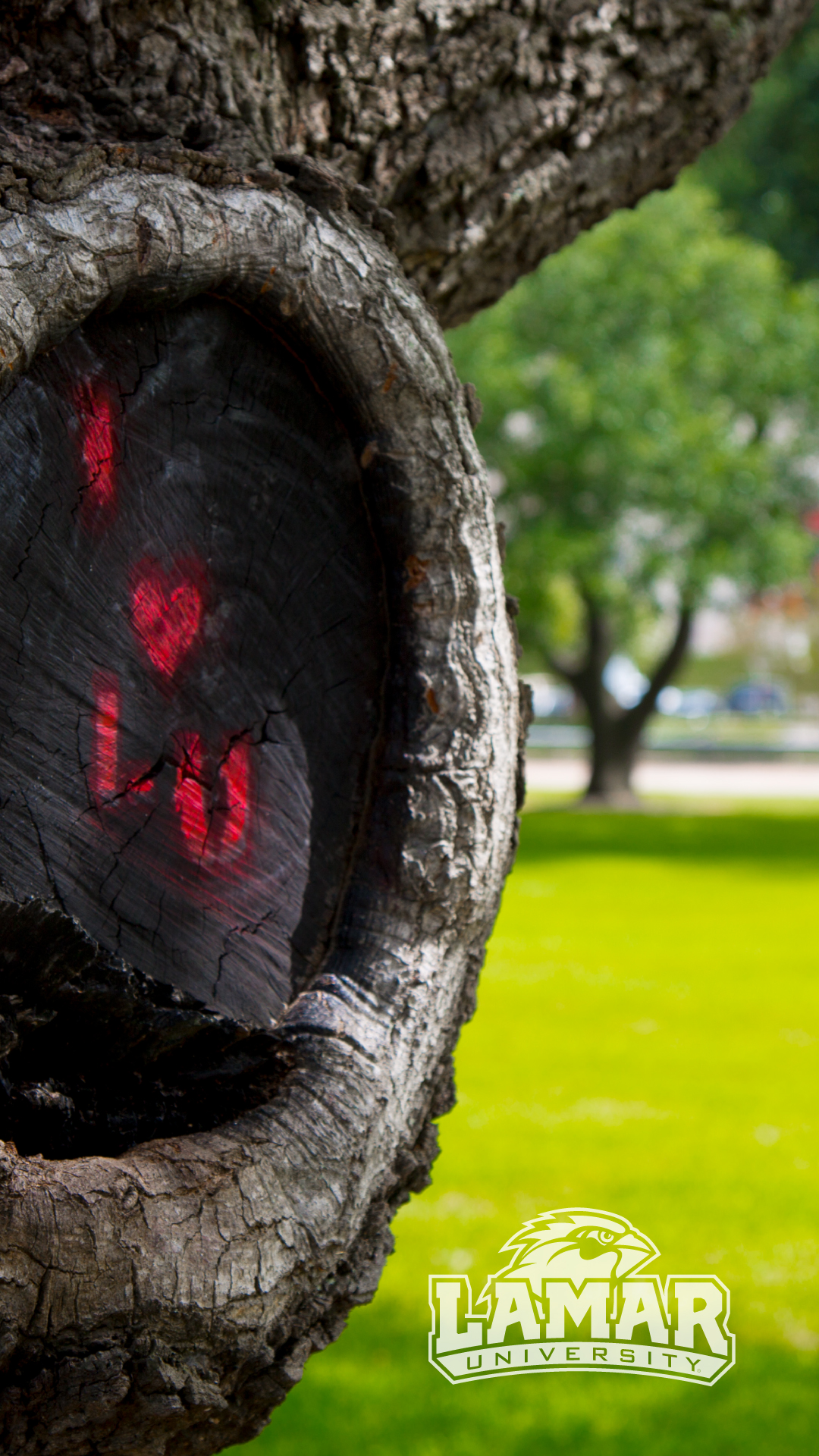 Lamar University Digital Swag | Digital Backgrounds | University Swag | Free Digital Backgrounds ...