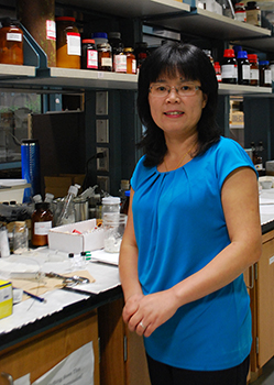 Lei tapped for 2016 Faculty Mentor Award - Lamar University